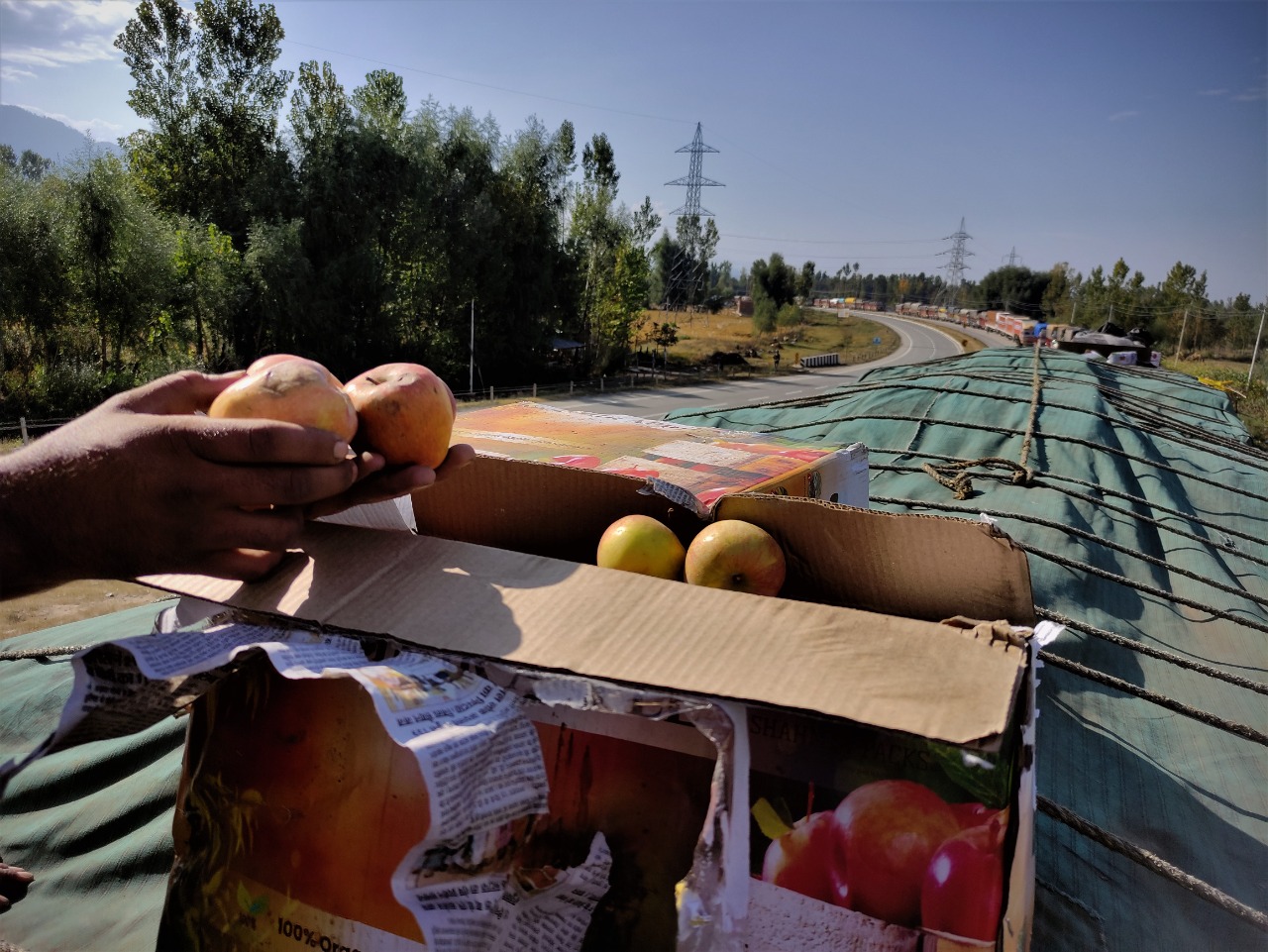 'Clear stranded apple-laden trucks on Highway within 24 hours', CS ...