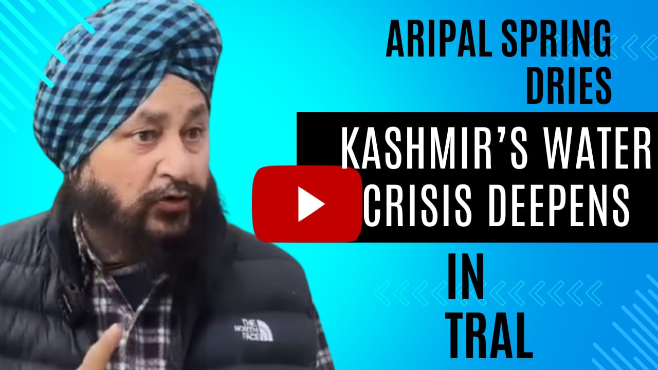 Vanishing springs: Aripal spring in Tral Kashmir dries up - The Kashmiriyat